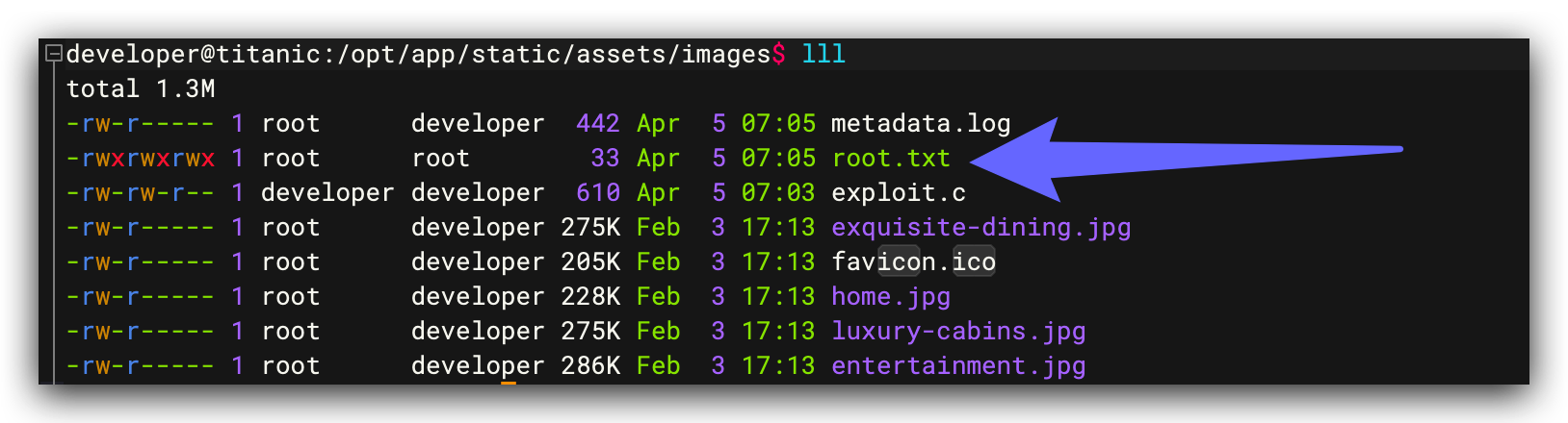 XSS-and-Security-Labs：Hackthebox 赛季靶场 Titanic Writeup - Rabbit's Blog